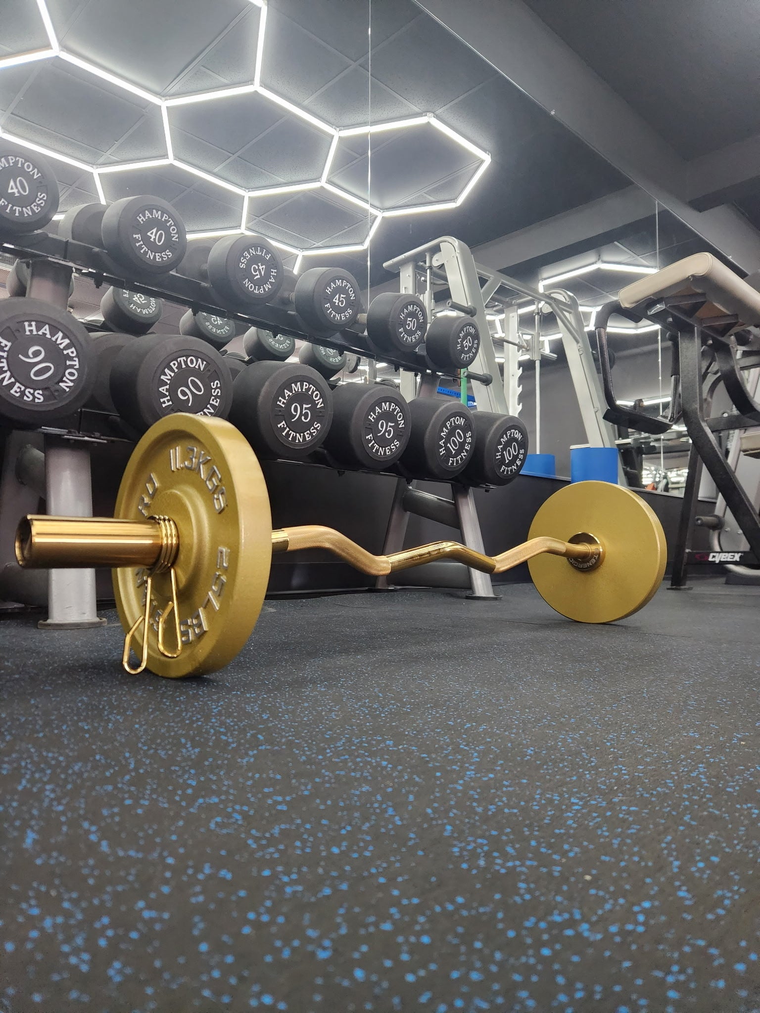 Victory Fitness | Gym & Personal Training | Carbondale, IL ...